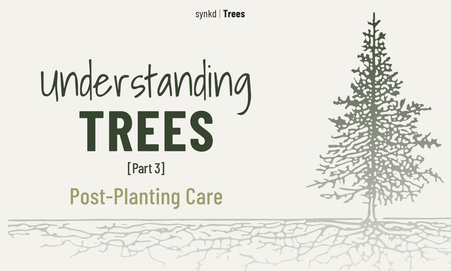 Understanding Trees - Post-Planting Care
